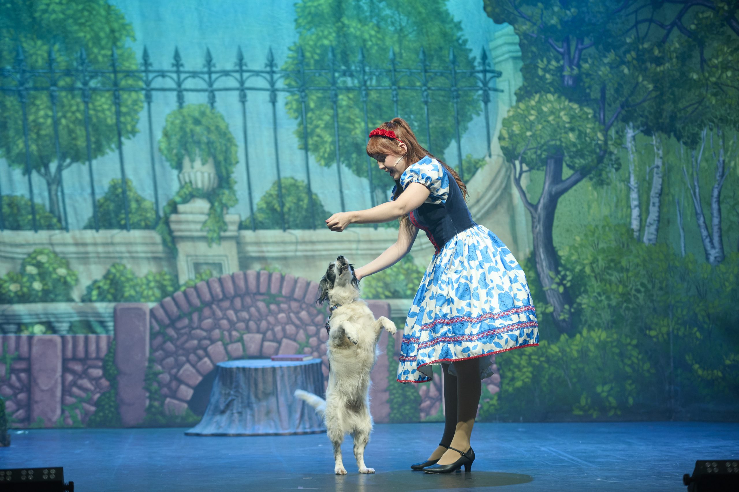 Panto Opens At The Regent, Christchurch! – Polka Dot Pantomimes